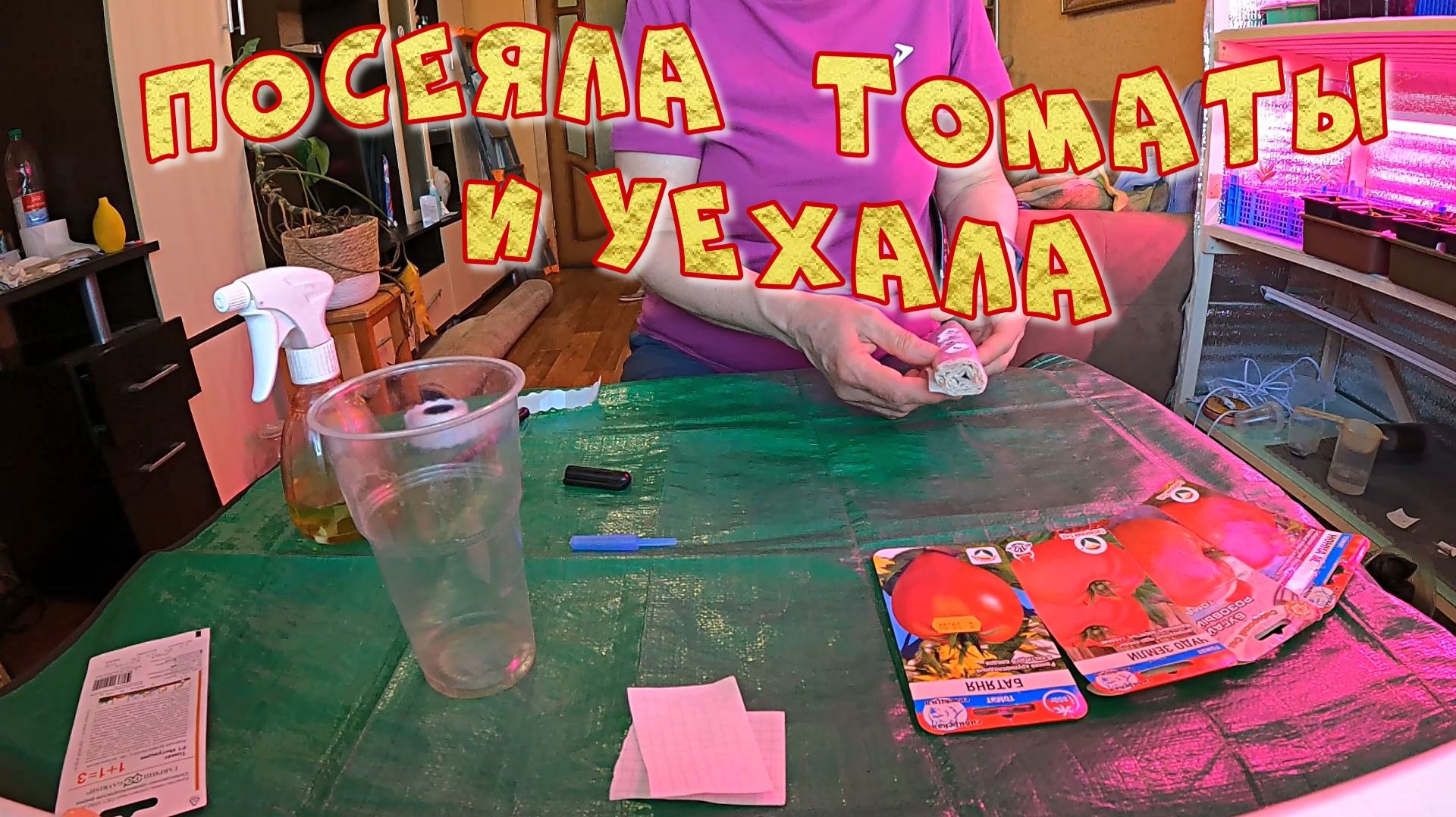 Посеяла томаты и уехала