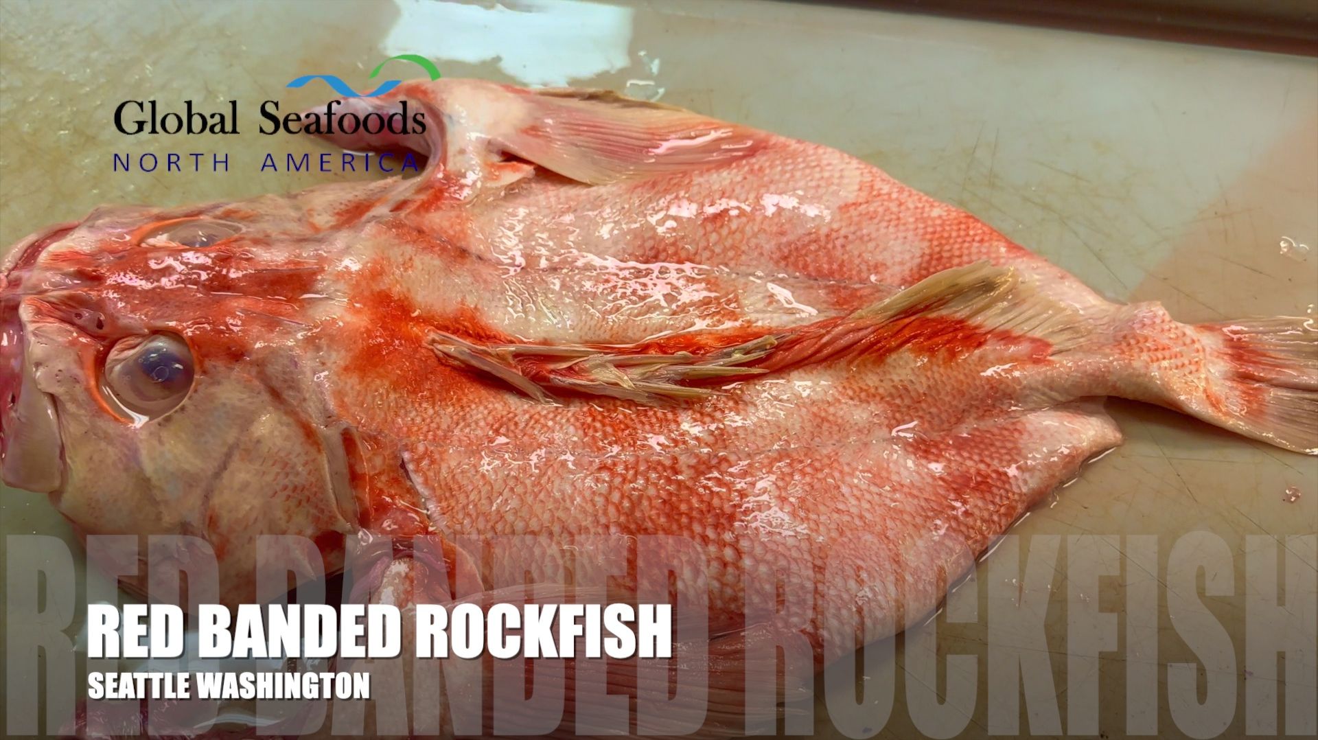 Тихоокеанский морской окунь 🔥🐟 | Баттерфляй-разделка для идеального гриля