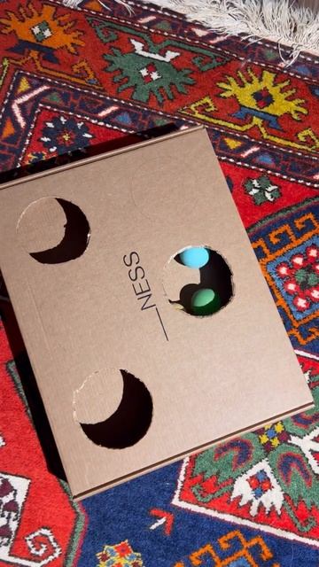 Как занять кота на две недели