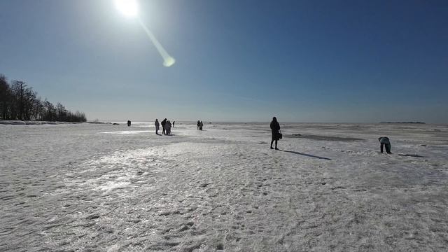 Прогулка 2026.03.15.mp4