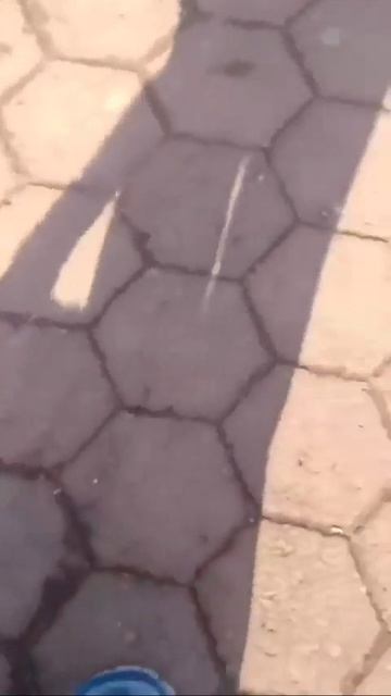 Друг не забыт