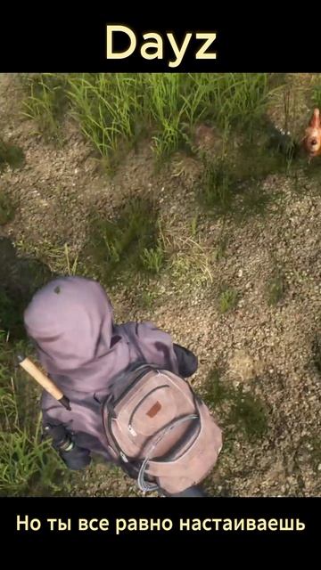 DayZ. New Day сервер для души