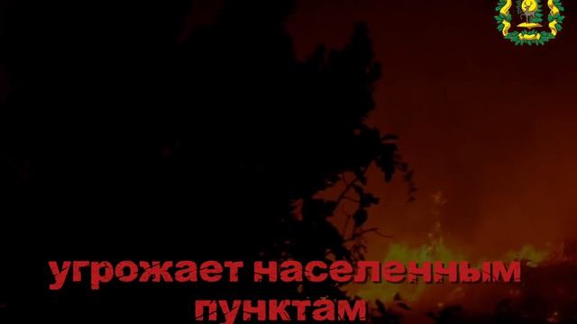 Предупреждение лесных пожаров: ответственность каждого