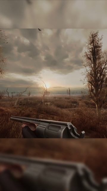 АТМОСФЕРА БОЛОТ в GAMMA