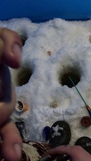 Рыбалка на белом море! Охота за навагой!