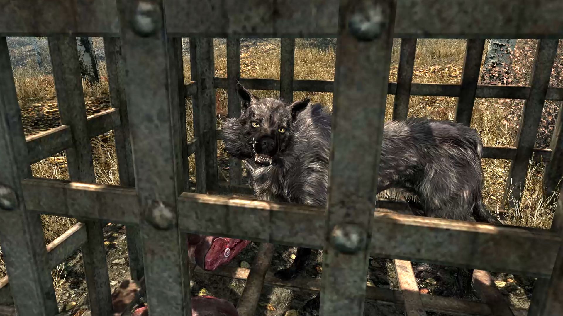 The Elder Scrolls V: Skyrim. Зверь в клетке. Прохождение от SAFa