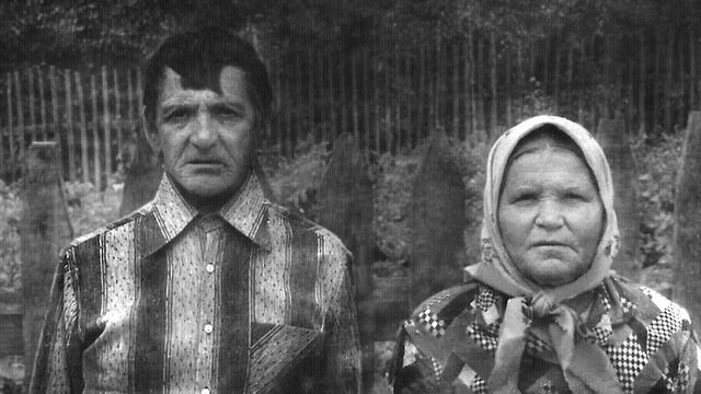 Фильм о семье по генеалогическому древу