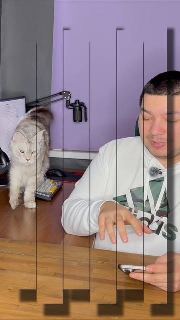 Тестируем новинку TrendVision SafeCube 4G — камера наблюдения с 4G и облачным сервисом