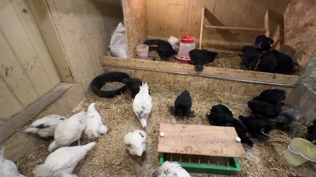 Молодёжь, работа кипит!