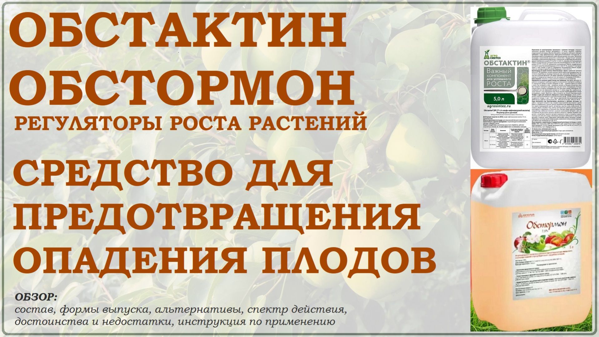 Обстактин и Обстормон – регуляторы роста растений, синтетические ауксины. Обзор