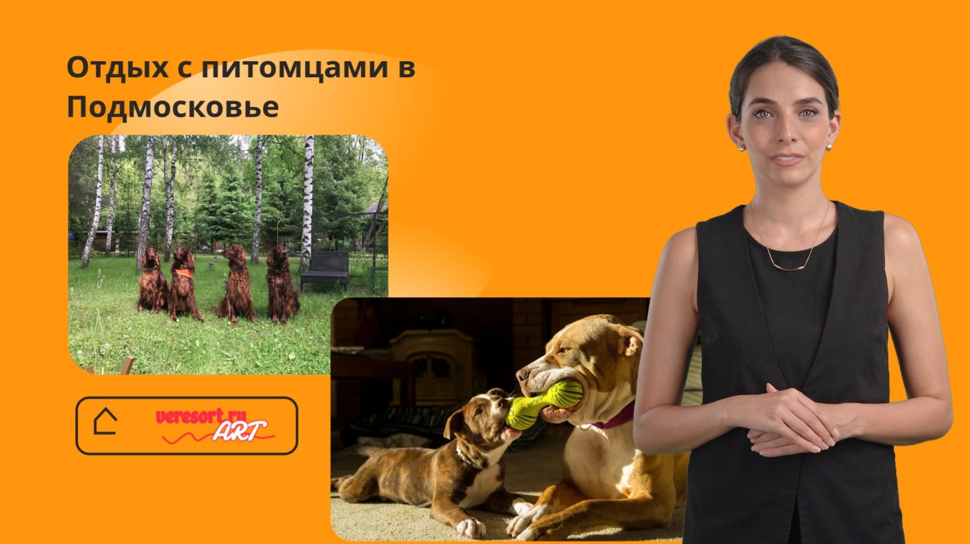 Отдых с питомцами в Подмосковье