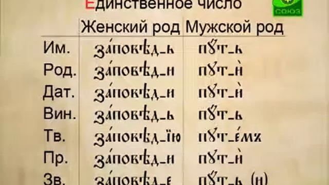 3.1.11. Третье склонение