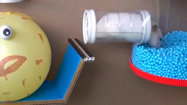 Хомяк в лабиринте #3