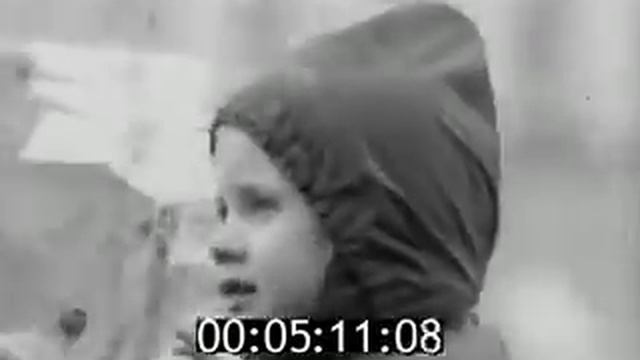 Ленинградская кинохроника 1976 № 15