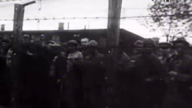 Люблин-Майданек: конвейер смерти для советских военнопленных и мирных граждан (Иркутская область)