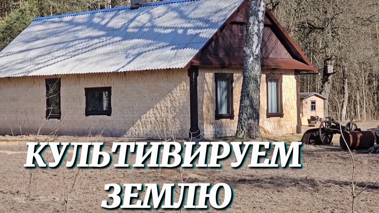 КАК РАБОТАЕТ КУРИНЫЙ ТРАКТОР, ЗАЧЕМ МЫ ТАК РАННО КУЛЬТИВИРУЕМ ЗЕМЛЮ И ЧАЕПИТИЕ С ГОСТЯМИ НА ХУТОРЕ