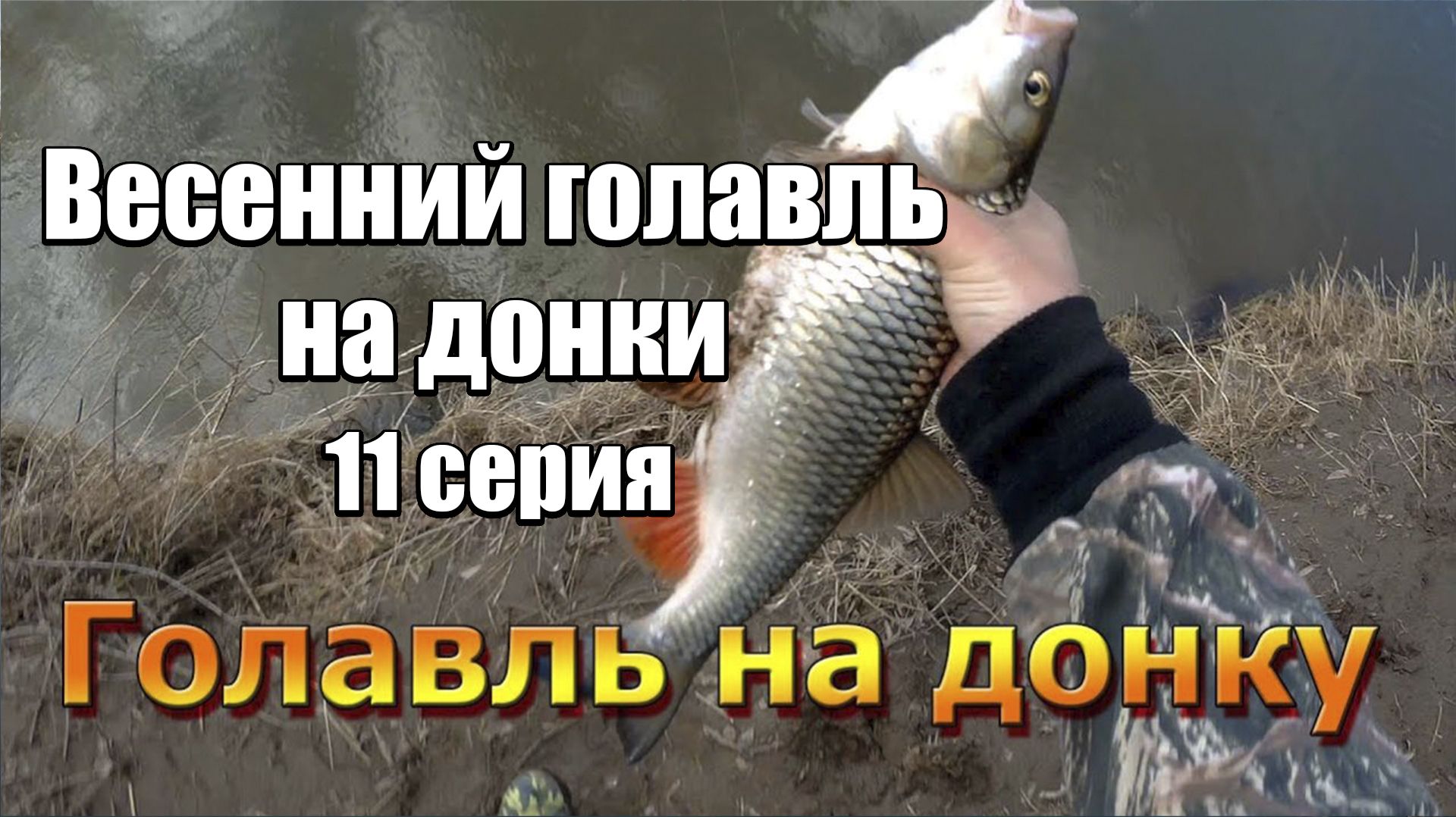 Весенний голавль на донки. 10 серия. 25 апреля