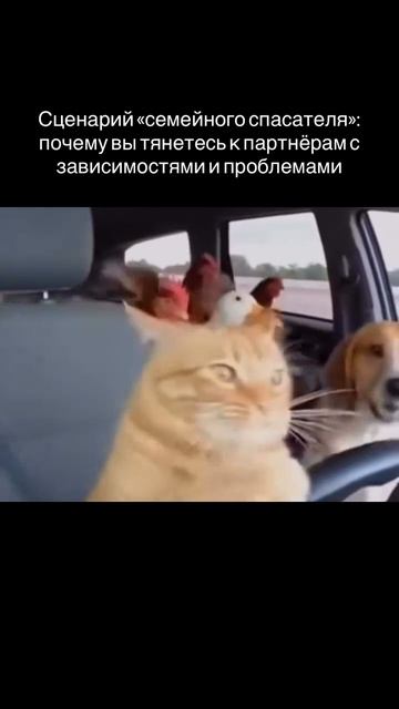 Сценарий "семейного спасателя": почему вы тянитесь к партнерам с зависимостями и проблемами