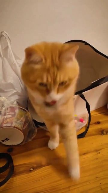 а вы зевнули ?)