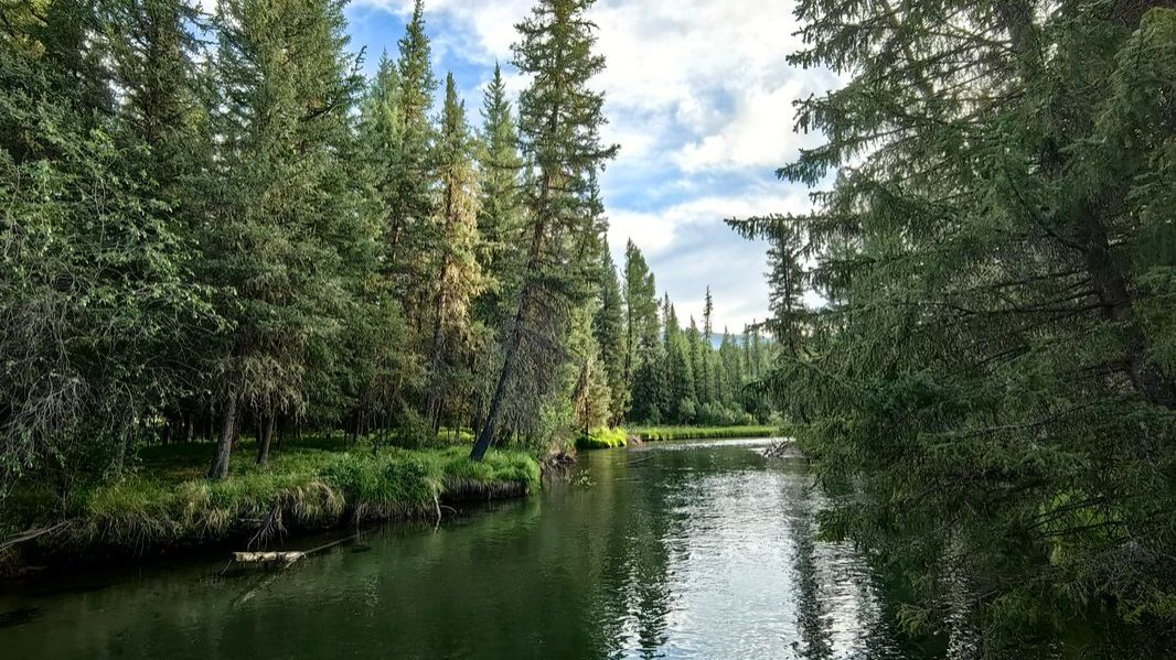 ТАЙГА. Рассказы охотника.Истории о тайге