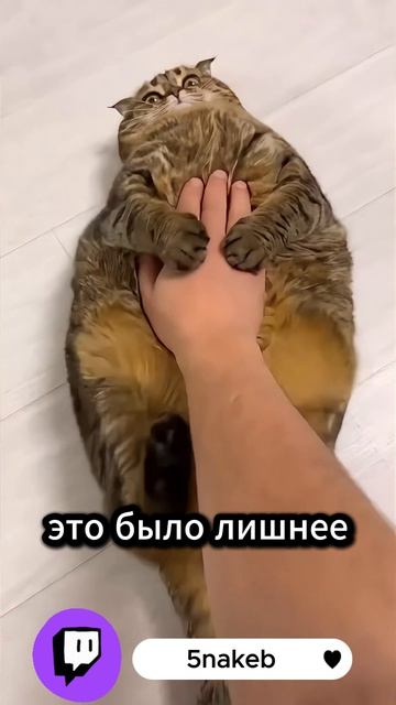 Бей своих чтобы чужие боялись