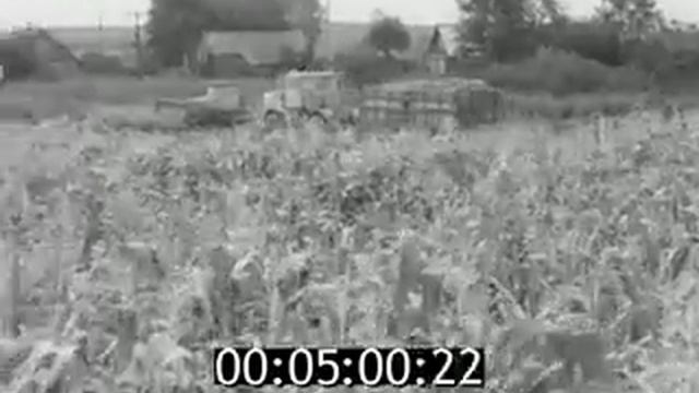 Ленинградская кинохроника 1980 № 27