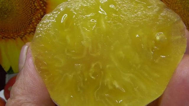 Томат Нежный Ролуаз поражает своей нежнейшей деликатесной мякотью! №409. Дегустация 2022 года.