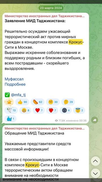 Официальная позиция МИД Таджикистана по теракту в «Крокусе"