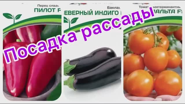 Посадка рассады 19.03.26