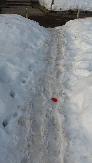 №1767 Двор Сибирская 73. 15 марта 2026 г., 18:02:45 VID_20260315_180155719