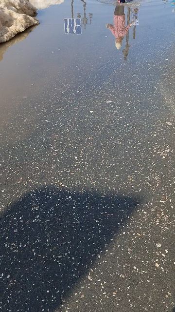 №1753 ул. Героев Хасана. 15 марта 2026 г., 13:08:29 VID_20260315_130653448