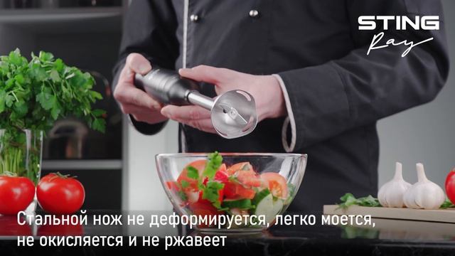 Погружной блендер STINGRAY ST-KP2221A