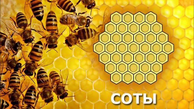 5282-из Гарыныч ВЕТЕР-Собственность Господа!-Հոհա, հոհայ եմ ես...