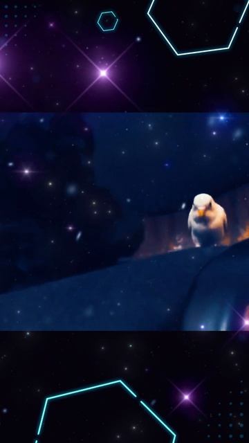 Первая встреча  кота Джея и попугая Морозко. Лучшие друзья