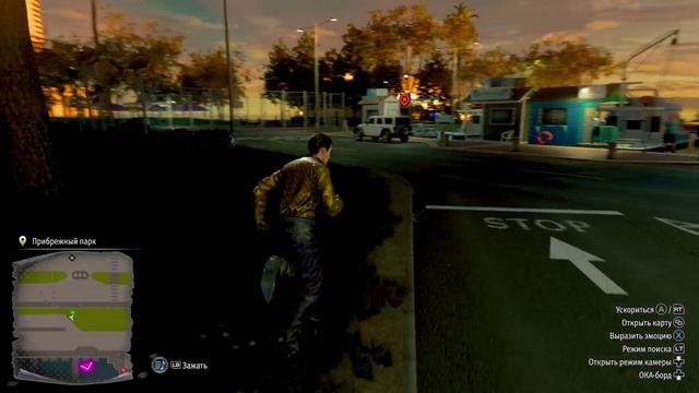 Пират Якудза на Гавайях! Свидание с Тигрицей!