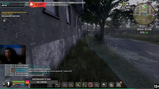 Прокачка клана +общение  Will To Live Online.
