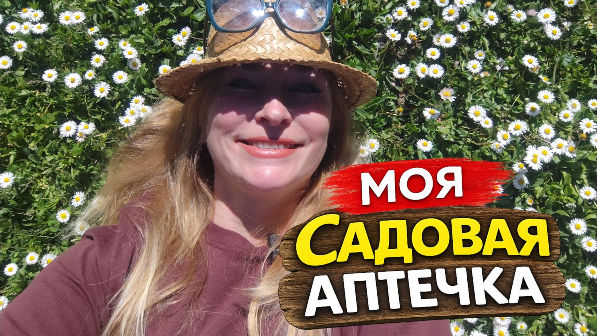 Вот чем я спасаю растения. Моя садовая аптечка во Франции