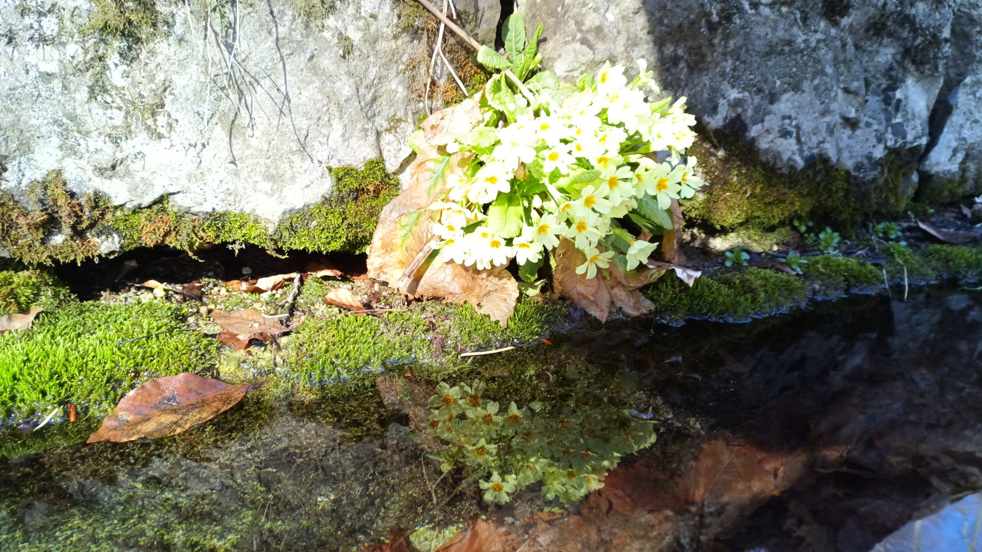 07-08.03.2026 Поход на Демерджи