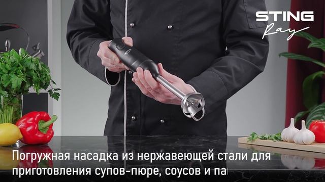 Погружной блендер STINGRAY ST-KP2220A