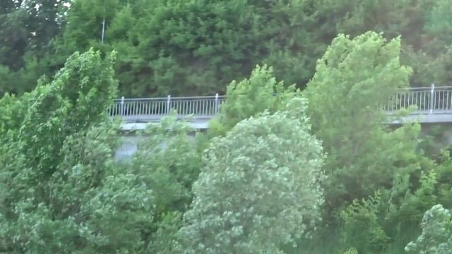 По реке Сура Пенза 2022