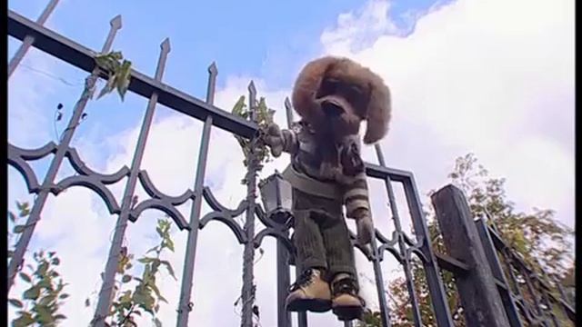 По всем правилам вместе с Хрюшей - Высота