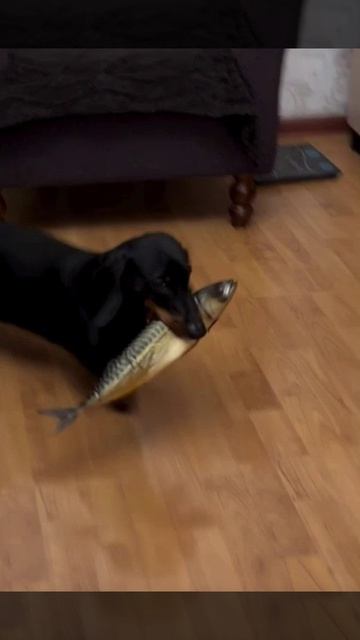 Воровская жизнь нелегкая