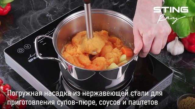 Погружной блендер STINGRAY ST-KP2220B