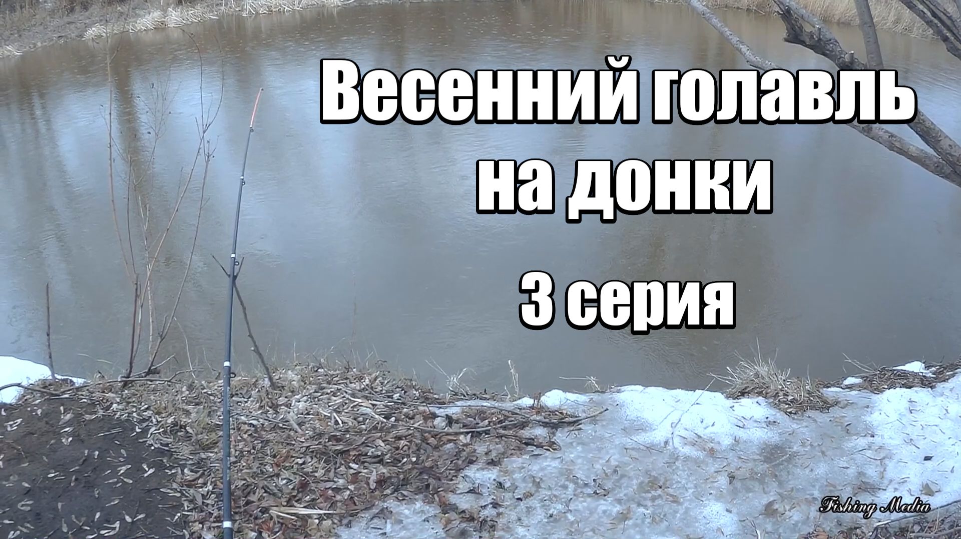Весенний голавль на донки. 3 серия. Когда дома не сидится! Разведка по голавлю на куриную печень