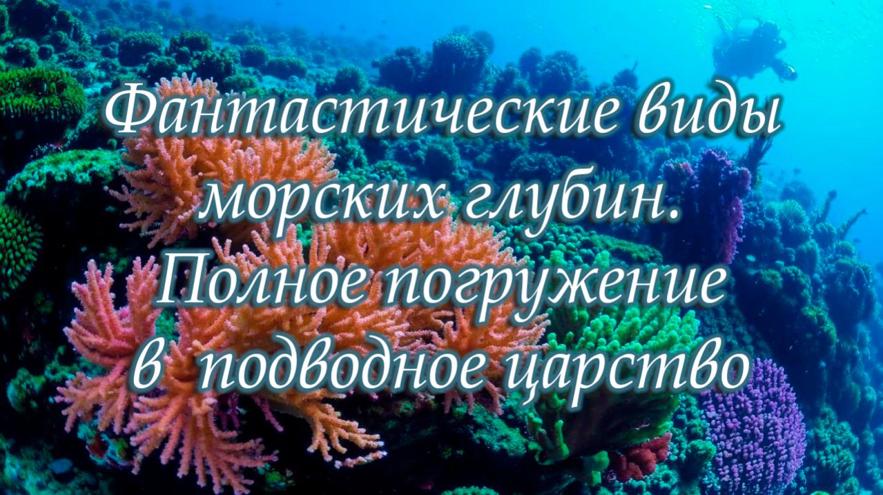 Фантастические виды морских глубин. Полное погружение  в морское царство