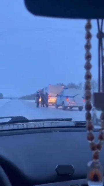 Новосиб. Нагнали ментов. По слухам "убивают" конкурентов Мираторг