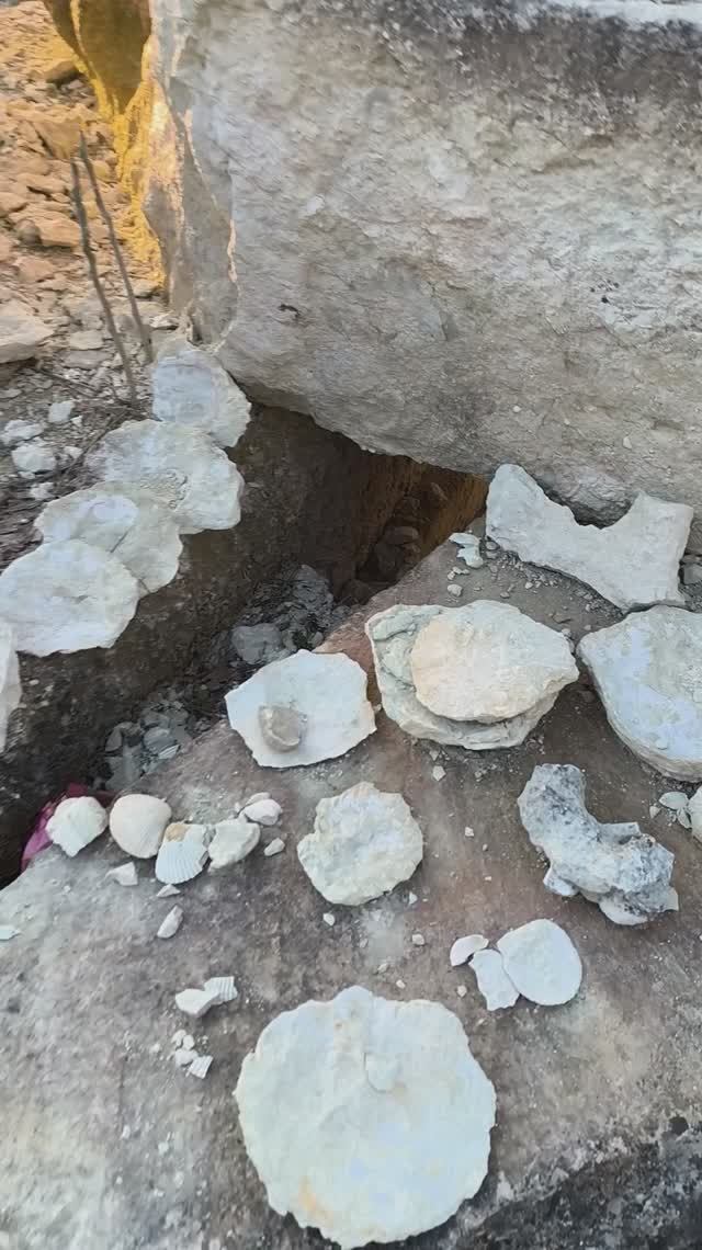 Крым Маастрихт Ассорти 1