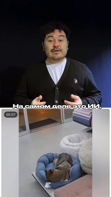 ВОЛК ПРАВДА ЗАШЕЛ В МАГАЗИН?