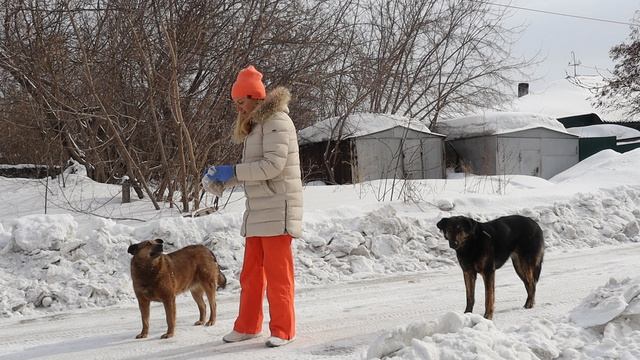 Брошенные, но их люди кормят