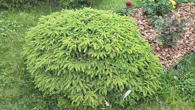 Скоро будет так красиво!